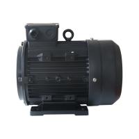 China 2 Pole Hollow Shaft Motor 24V Voltage Depend On Customer Requirements Ideal For Medical Devices And Laboratory Equipment for sale