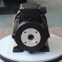 China 80 Mm Length Hollow Shaft AC Motor Power Range 22KW 30HP Designed for Consistent Performance in Industrial Environments for sale
