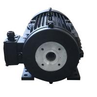 China Shaft 45 steel 3 Phase Induction Motor Energy-saving Service Factor 1.0 Industrial Motor Optimized for Continuous Heavy Duty for sale