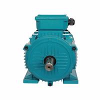 China Altitude ≤1000m 3 Phase Induction Motor Rated Output 0.12KW 315KW Motor Type Induction Suitable for Industrial Equipment for sale