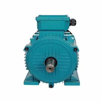 China Altitude ≤1000m 3 Phase Induction Motor Rated Output 0.12KW 315KW Motor Type Induction Suitable for Industrial Equipment for sale