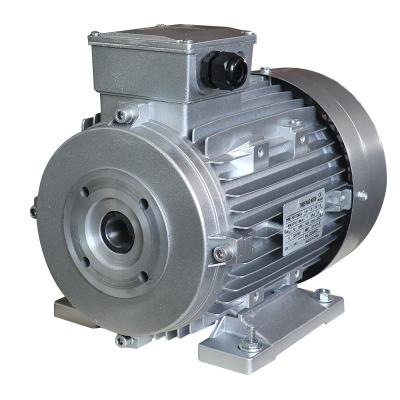 China Flange Mounted Single Phase Induction Motor Providing Up To 85 Efficiency and Long Lasting C U NSK Bearing for Equipment for sale