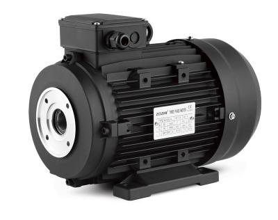China IP55 hollow shaft electric motor frame size 112 designed for seamless integration in industrial manufacturing processes for sale