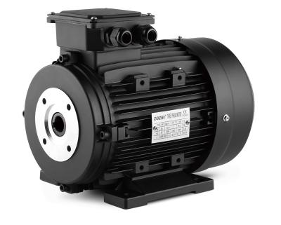 China IP55 protection level hollow shaft 3 phase motor rated voltage 380V ideal choice for manufacturing and processing plants for sale