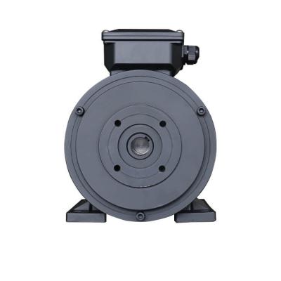 China Life Span 3000h Hollow Shaft Motor Rated Power 7.5HP Insulation Class B Optimized for Heavy Duty Industrial Applications for sale
