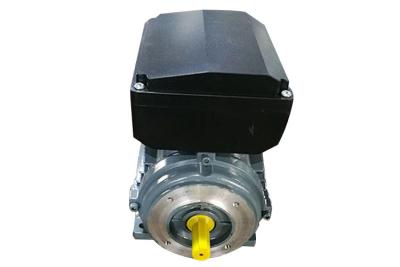 China Aluminium Housing Single Phase Capacitor Start Induction Motor 2000w 220v 50 Hz MY 90S-2 for sale
