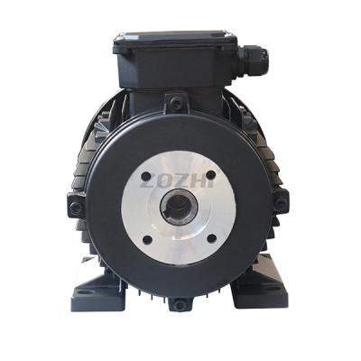 China Spa Whirlpool System Hollow Shaft Motor Equipped with Insulation Class F Providing Long Lasting Reliability and Stability for sale