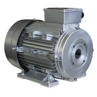 China Three Phase hollow shaft AC motor providing life span at least 3000 hours engineered for industrial equipment performance for sale