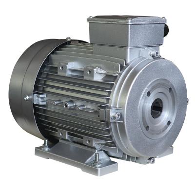 China Three Phase hollow shaft AC motor providing life span at least 3000 hours engineered for industrial equipment performance for sale