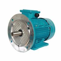 China Energy-saving 3 Phase Induction Motor Offering Breakdown Torque 260 Percent Optimized for Industrial Machinery and Operation for sale