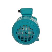 China Class F Insulation 3 Phase Induction Motor 4 Pole 1.0 Service Factor Industrial Electric Motor for Heavy Duty Applications for sale