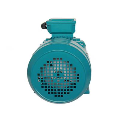 China Class F Insulation 3 Phase Induction Motor 4 Pole 1.0 Service Factor Industrial Electric Motor for Heavy Duty Applications for sale