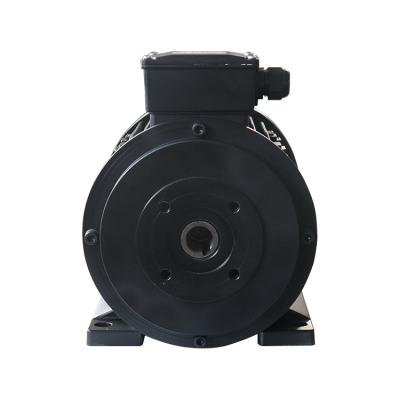 China Altitude ≤1000m 3 Phase Induction Motor Rated Output 0.12KW 315KW Service Factor 1.0 Designed for Industrial Performance for sale
