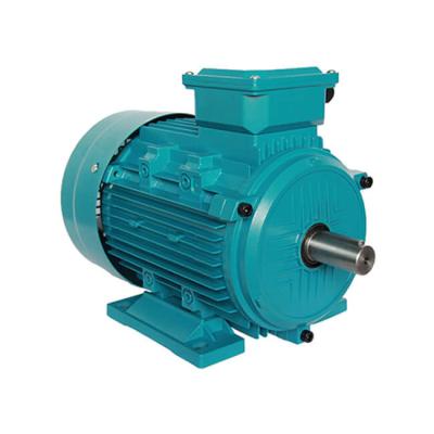 China Frame 112 3 Phase Induction Motor Asynchronous Speed 1500RPM Durable Electric Motor Designed for Industrial Applications for sale