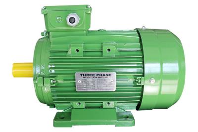 China MS100L1-4 3 Phase Induction Motor Squirrel Cage 3HP 2.2KW 400V 60HZ IE1 Efficiency for sale