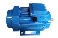 China Little Vibration Three Phase Asynchronous Motor MS100L2-4 3KW 4HP 4 Pole General Driving for sale