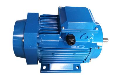 China Little Vibration Three Phase Asynchronous Motor MS100L2-4 3KW 4HP 4 Pole General Driving for sale