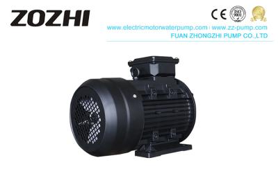China Electric Hollow Shaft Motor 4 Pole HS 711-4 0.25KW 0.35HP For Cleaner Machine for sale