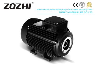 China HS 112M3-4 6.2KW 8.5hp Hollow Shaft Motor Direct Pump Mounting For Industrial Cleaning for sale