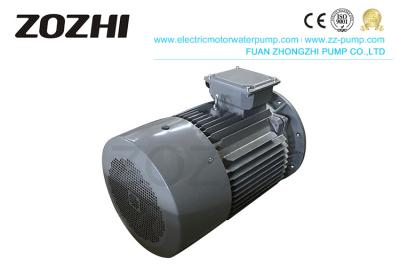 China B/F Insulation Class High Efficiency Induction Motor IE3 Cast Iron Body Material for sale