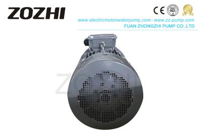 China IP54 3KW IE3 Motor Cast Iron Body Material 2890Rpm Speed 2 Poles IE3-100L-2 for sale