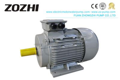 China Premium Efficiency IE3 Motor 100% Copper Wire 0.75kw IE3-802-4 S1 Continuous Duty for sale
