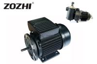 China Flopro 2hp Pool Pump Ac Induction Motor IE1 IE2 Capacitor Running for sale