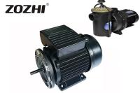 China Screw Thread Single Phase Asynchronous Motor  Swimming Pool Pumps Shaft Applied for sale