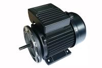 China 0.55kw Single Phase Induction Motor 50HZ/60HZ For Plastic Swimming Pool Pumps for sale