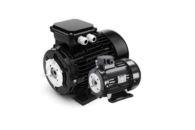 China Energy Saving Hollow Shaft Motor Built for Continuous Operation and Minimal Maintenance in Industrial Environments for sale
