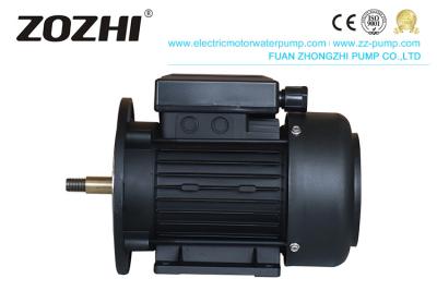 China Aluminum Casting Squirrel Cage Induction Motors 1.5HP/1.1KW For Swimming Pool Pump for sale