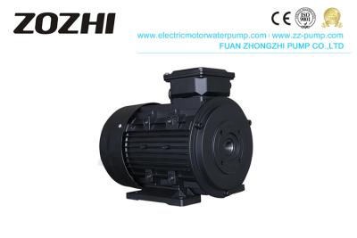 China 4 Pole Hollow Shaft Motor 132S1-4 5.5KW 1500Rpm 100 Flange Size For Clean Machine for sale