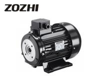 China 3KW 4HP 1450 RPM Three Phase Induction Motor Hollow Shaft 4 Pole ZOZHI Hs100L2-4 for sale
