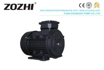 China Hs712-2 0.55kw 0.75HP Hollow Shaft Motor 400V 50HZ Low Noise Small Volume for sale