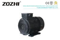 China Three Phase 2 Pole 3000Rpm Electric Horizontal Hollow Shaft Motor For Cleaning Machine for sale