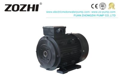 China Three Phase 2 Pole 3000Rpm Electric Horizontal Hollow Shaft Motor For Cleaning Machine for sale