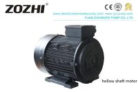 China 2 Pole Hollow Shaft Motor 15KW 400V/60HZ 132M2-2 High Pressure Pump Application for sale