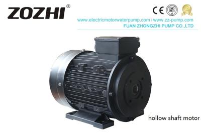China 2 Pole Hollow Shaft Motor 15KW 400V/60HZ 132M2-2 High Pressure Pump Application for sale