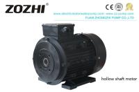 China Waterproof 0.75kW Three-Phase Induction Motor with F-Class Insulation and Flange Mounting for sale