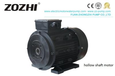 China Waterproof 0.75kW Three-Phase Induction Motor with F-Class Insulation and Flange Mounting for sale