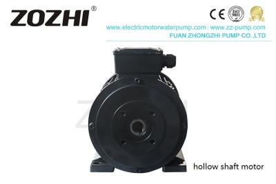 China Single Phase Hollow Shaft Motor Asynchronous 2 Pole 0.75HP Car Washer Application for sale