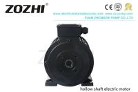 China 3kW Three-Phase Hollow Shaft Waterproof Motor for High Pressure Pump for sale