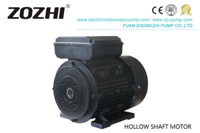 China Low Noise Three Phase Asynchronous Induction Motor Aluminum Housing 400V/60HZ for sale