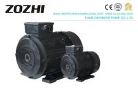 China Three-Phase Waterproof 7.5kW High Efficiency Hollow Shaft Motor for High Pressure Pump for sale
