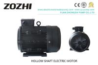 China 2 Pole Hollow Shaft Motor Asynchronous Single Phase 0.75HP 400V/60HZ IE 2 Efficiency for sale