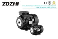 China 132M1-6 Three-Phase Waterproof High Efficiency 4kW AC Induction Motor 50Hz/60Hz for Water Treatment for sale