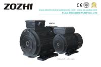 China Horizontal Hollow Shaft Motor 7.5KW 400V IE 2 132S1-2 For High Pressure Pump for sale