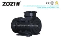 China Asynchronous Hollow Shaft Motor 0.25KW-18.5kw For Car Washer / Clean Machine for sale