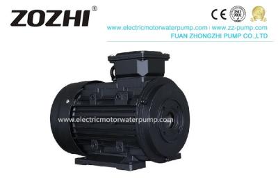 China Asynchronous Hollow Shaft Motor 0.25KW-18.5kw For Car Washer / Clean Machine for sale