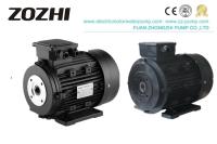China Washing Systems Hollow Shaft Electric Motor 132M1-4 9.5KW 12.5HP For NMT Pump for sale